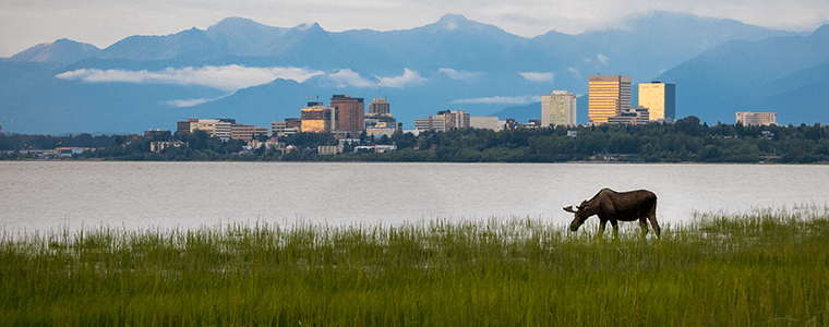 Top 11 Alaska TV Shows That Explore Life on the Last Frontier